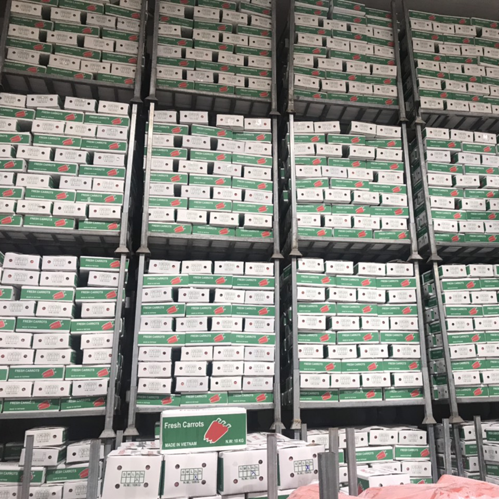 Carrot - PICO AGRIVIET