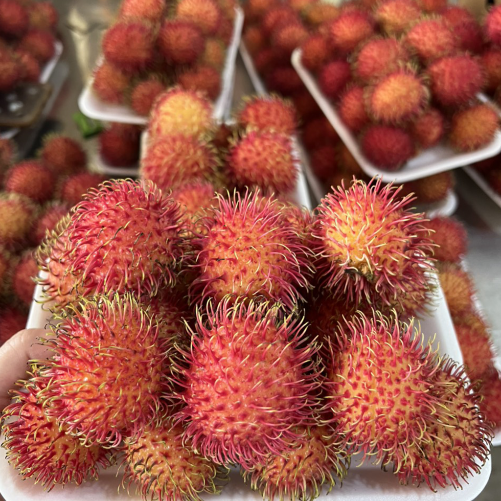 Chôm chôm - PICO AGRIVIET