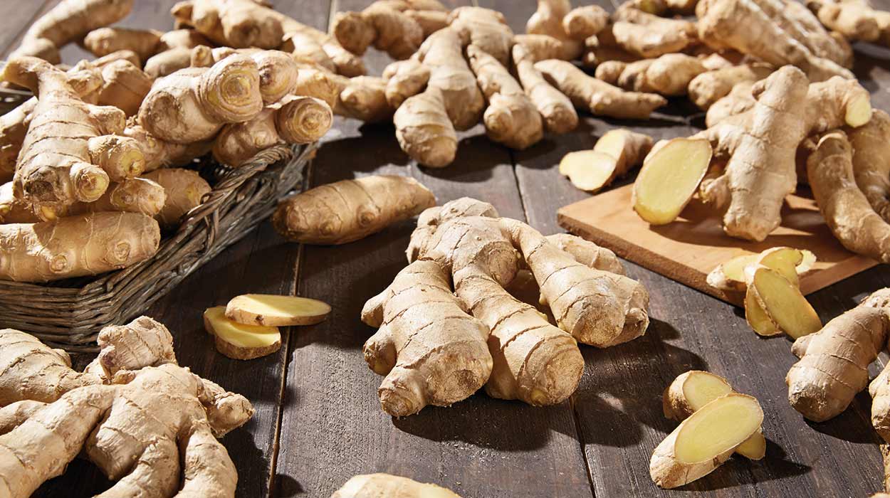 Pico Agriviet Company - News - World Agricultural News